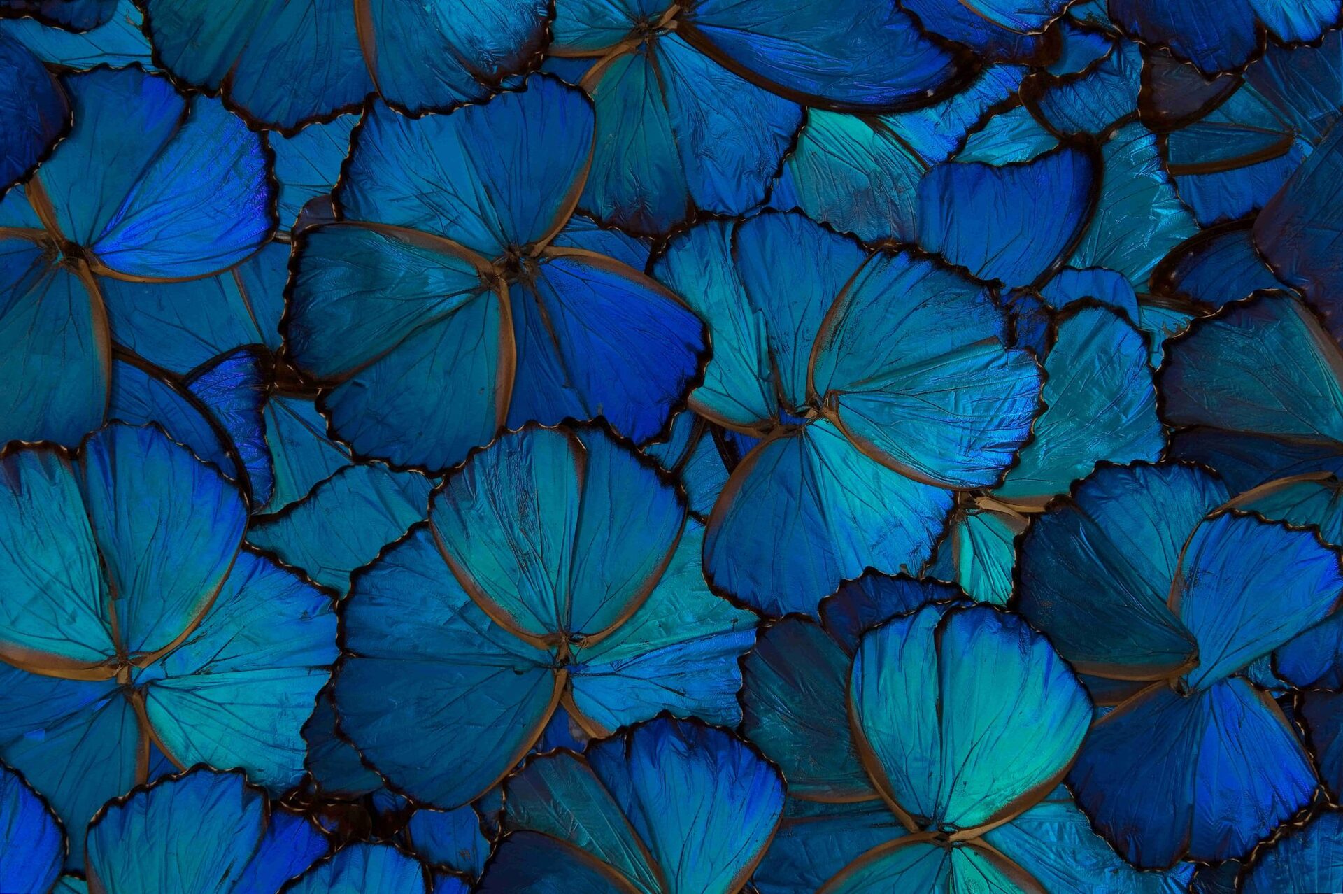 Platon.H: «Φύση-Ω-Θεραπεία» στην Ύδρα - OLAFAQ