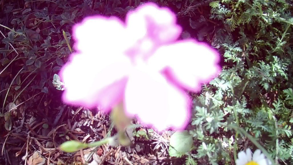 "CTRL+τ": Διαμορφώνοντας νέες αναμνήσεις για να θεραπεύσετε τις παλιές ...